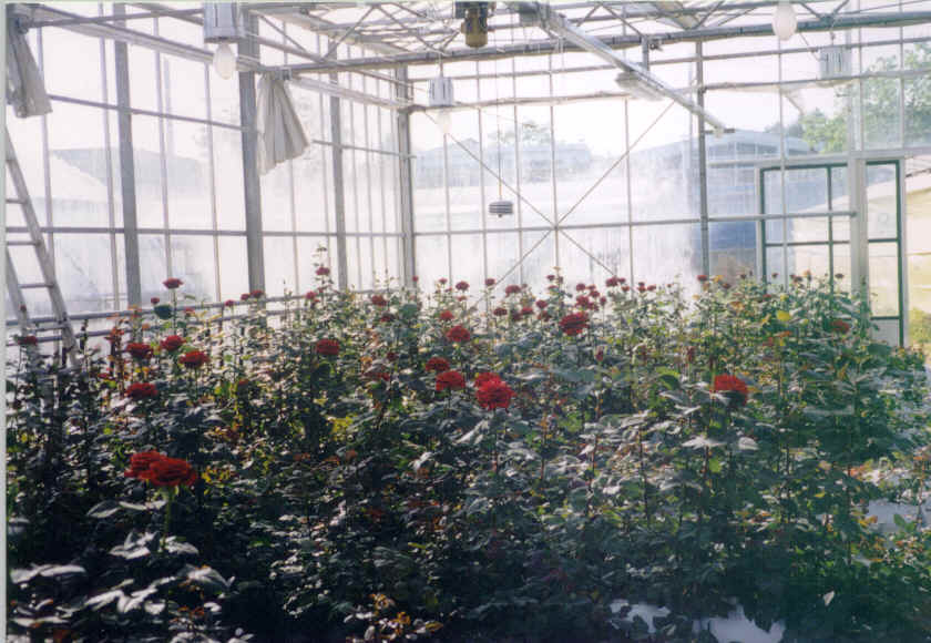 New Page 1 [www.aua.gr]