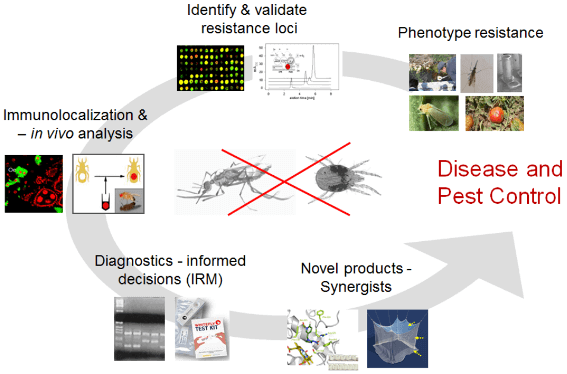 Molecular Entomology / Pesticide Science Lab - Vontas Group